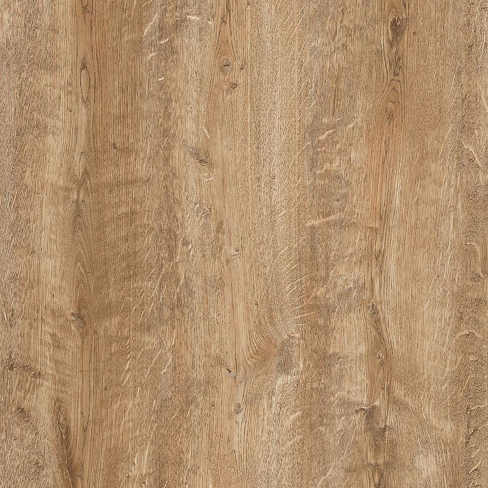 夏特 | Canyon Hidalgo Oak