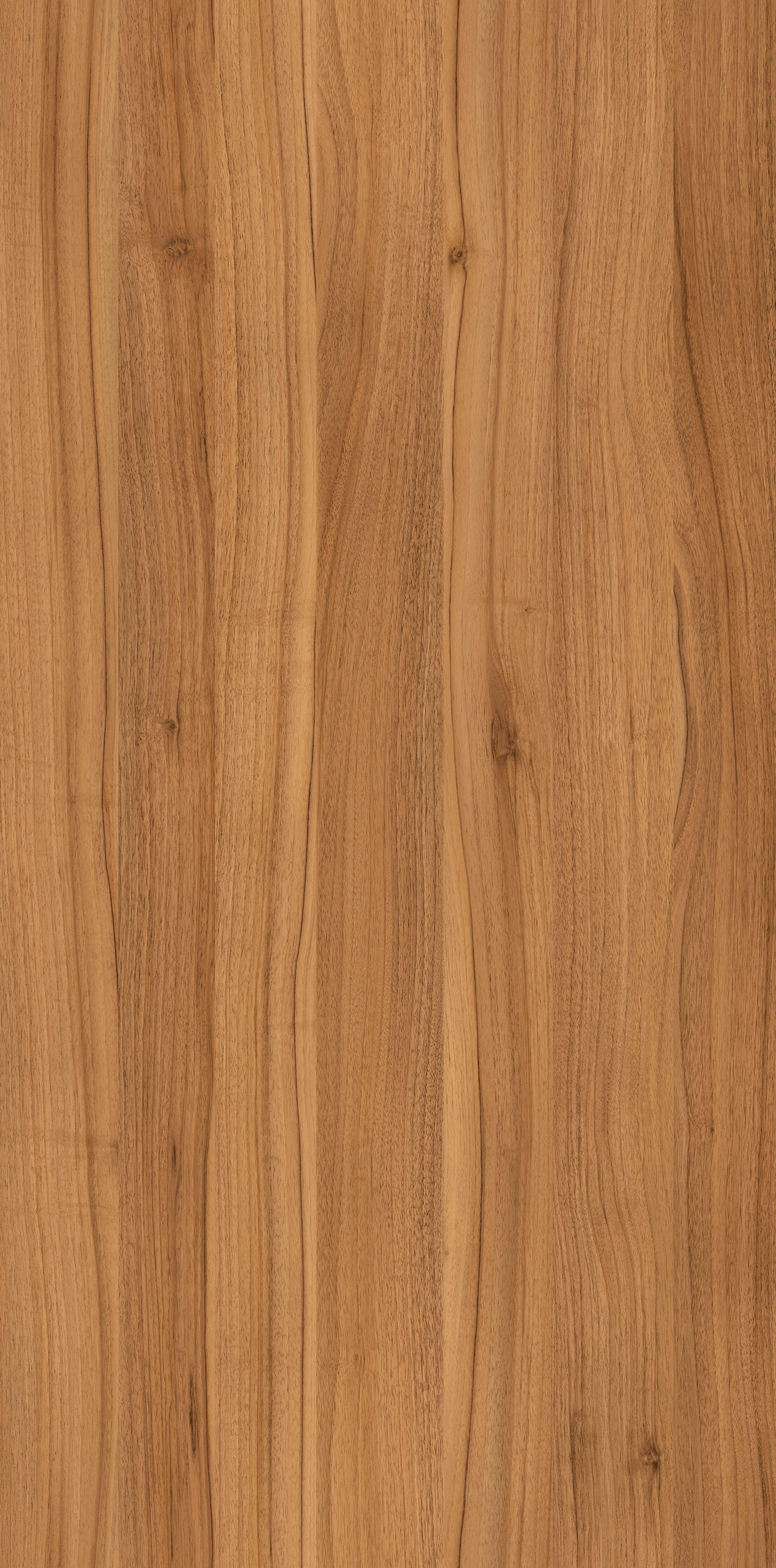 夏特 | Lyon Walnut