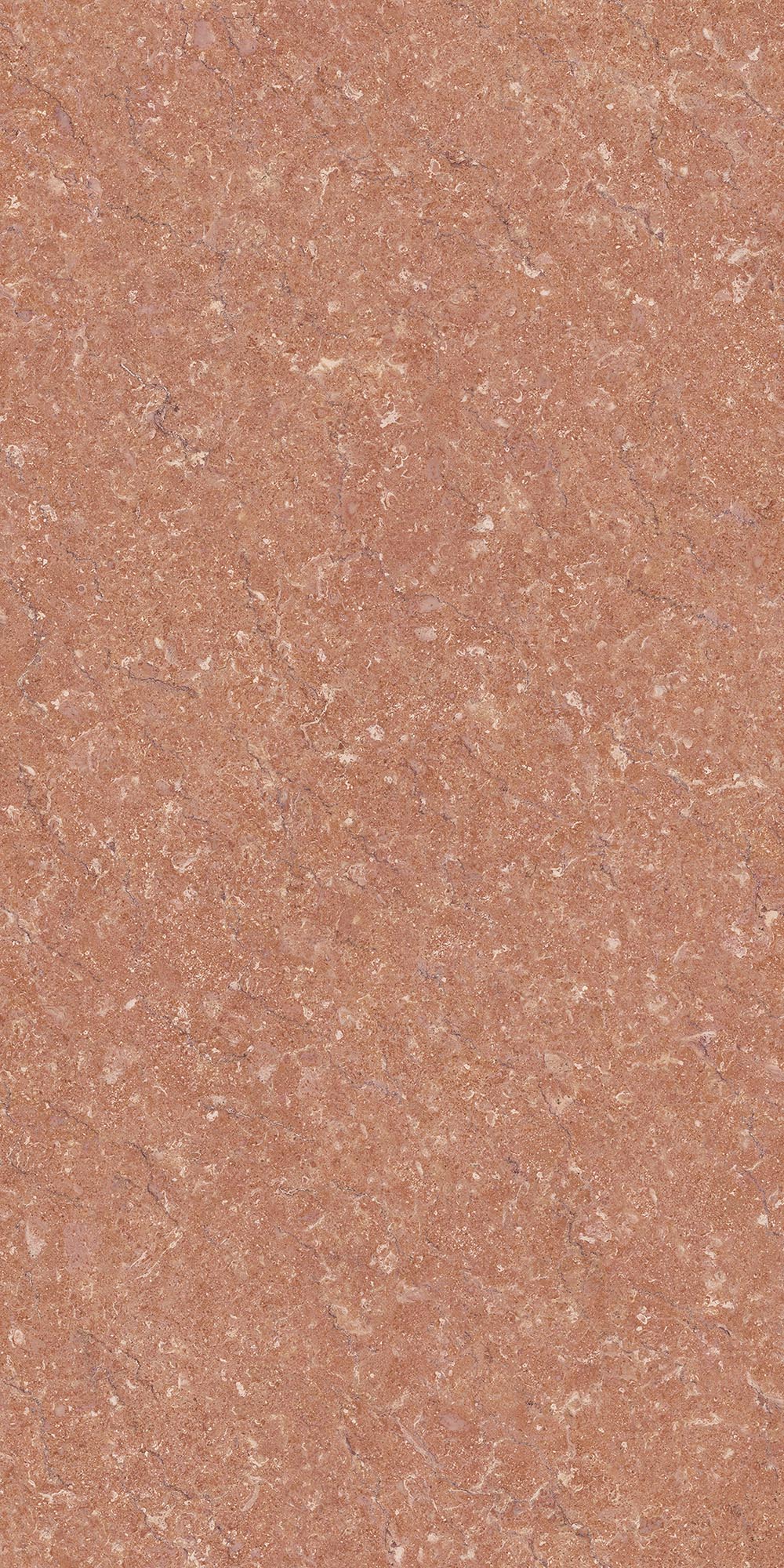 Schattdecor | Aratea