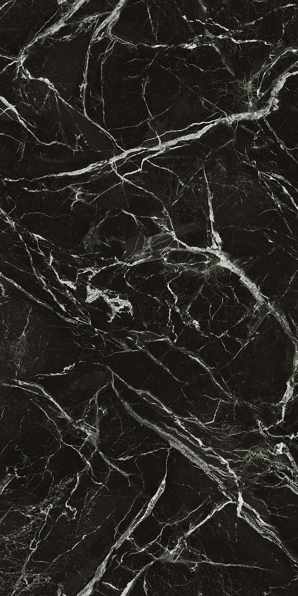 Schattdecor | Black Mamba