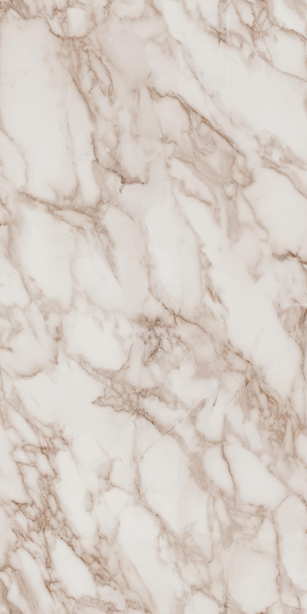 Schattdecor | Donatello